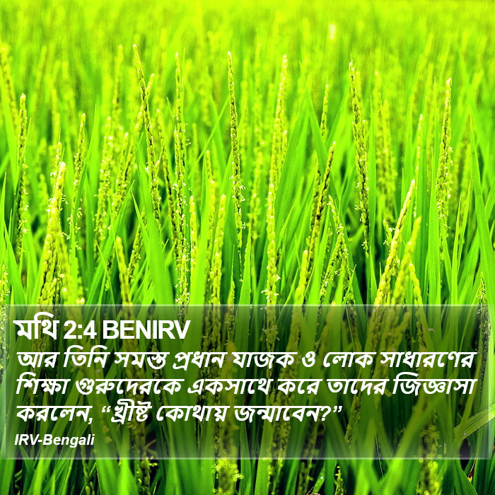 মথি 2:4 BENIRV - আর তিনি সমস্ত