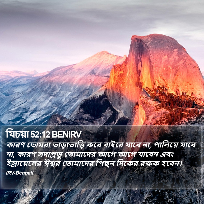যিচয়া 52:12 BENIRV - কারণ তোমরা